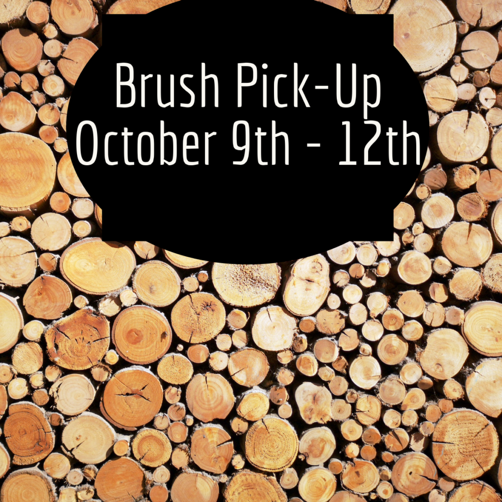 Village of Allouez - Historically Progressive